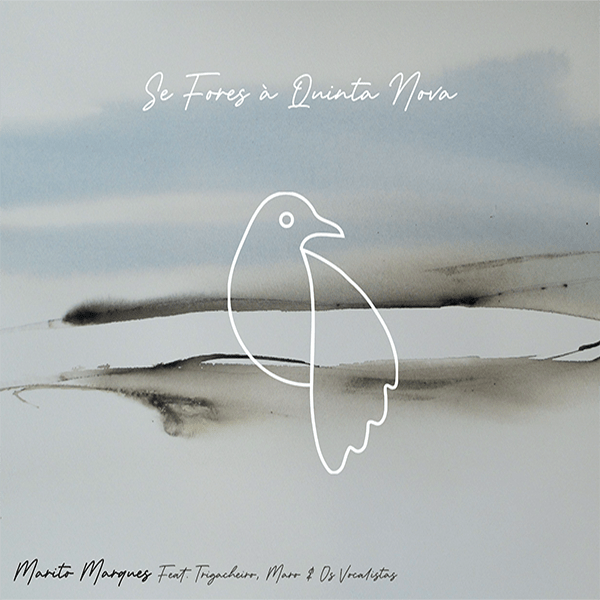 Home - MARITO MARQUES